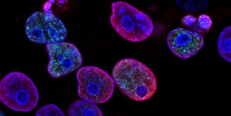 150+ Best Cell Puns and Jokes